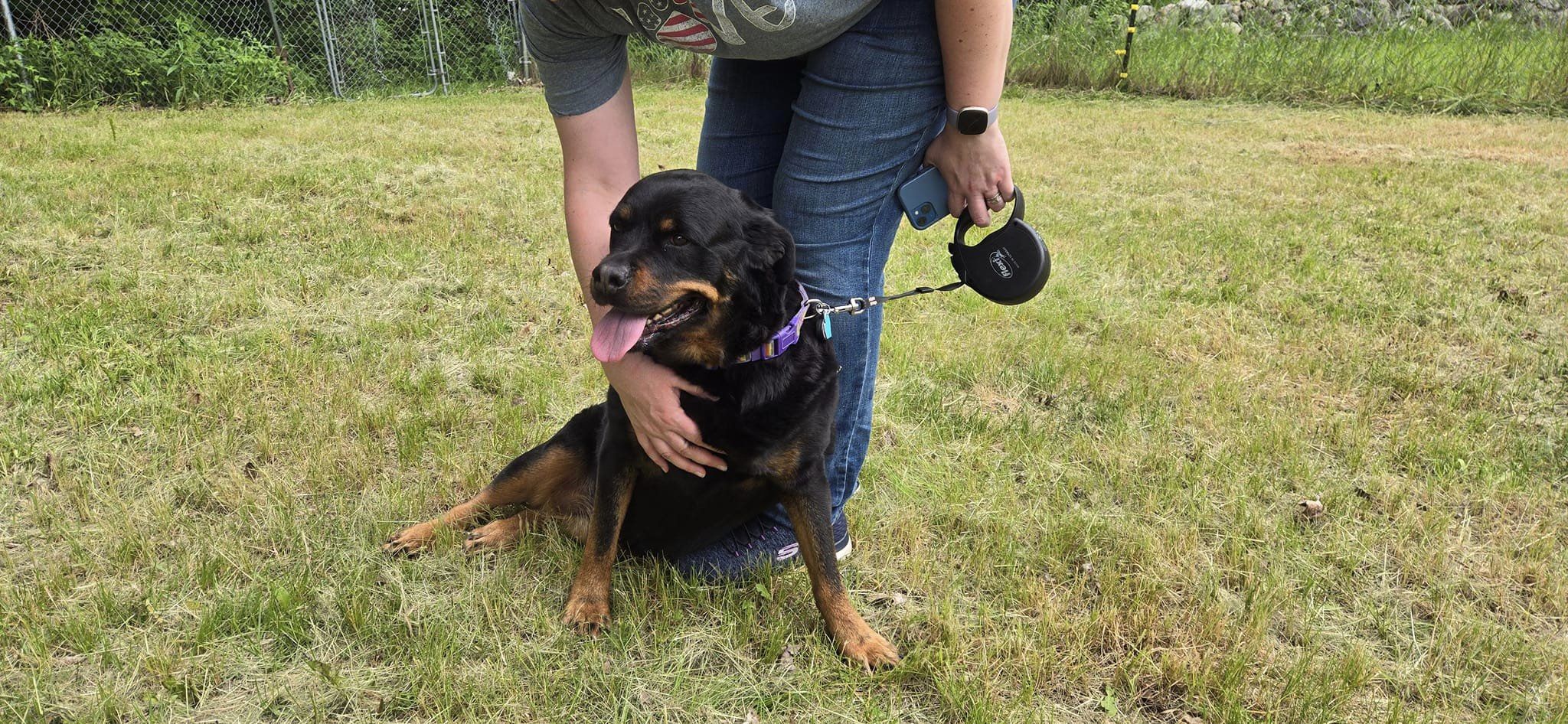 Dog of the week is Maggie - Green Valley Kennels