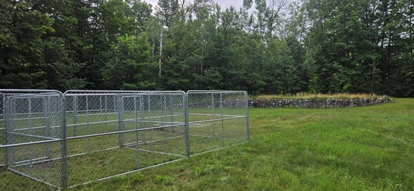 First Addition!!!!!! - Green Valley Kennels