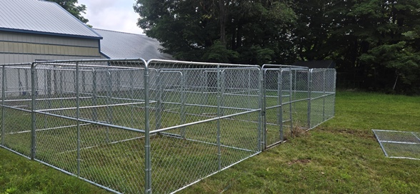First Addition!!!!!! - Green Valley Kennels